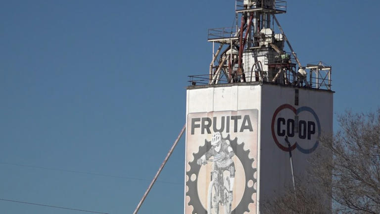 Fruita seeks handmade flower artwork for CO-OP Tower banner