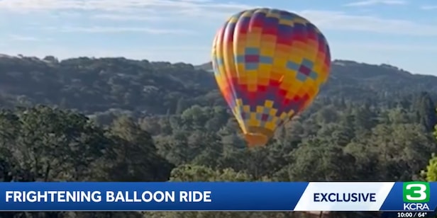 Couple's romantic hot-air-balloon ride slams into tree, crash lands on ...