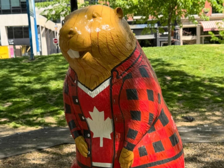 Beaver scavenger hunt takes over downtown Toronto neighbourhood during ...