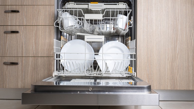 10 signs your dishwasher is too old