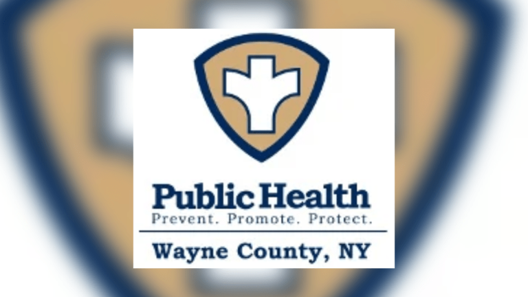 3 rabies cases spark warning in Wayne County