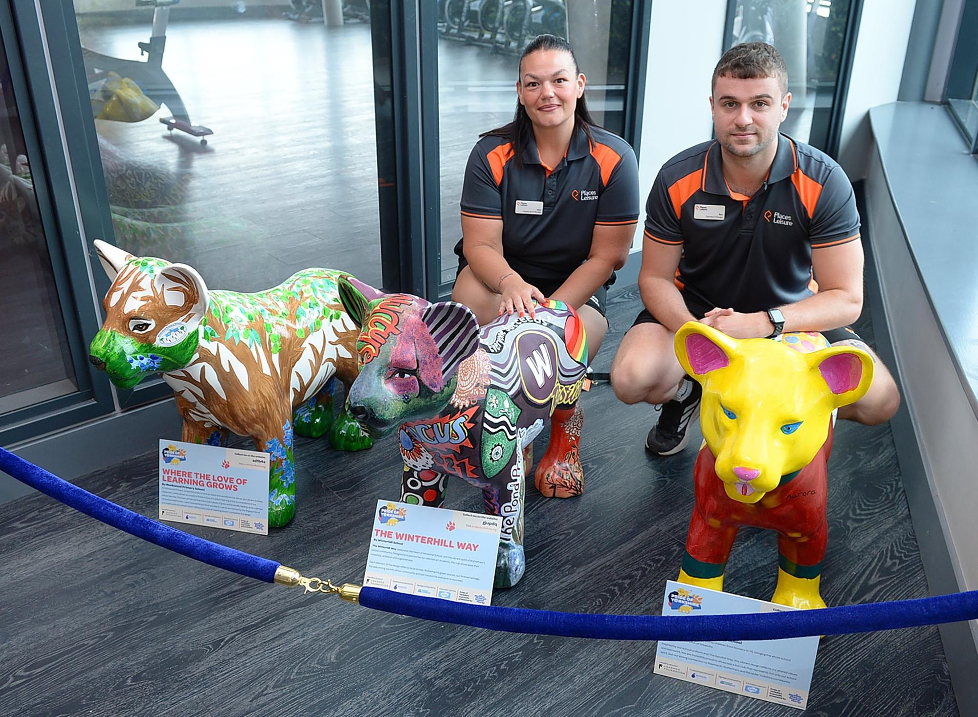 Charity's public art trail roams into Rotherham