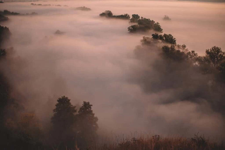 Scientists found bacteria thriving inside fog and eating air pollution