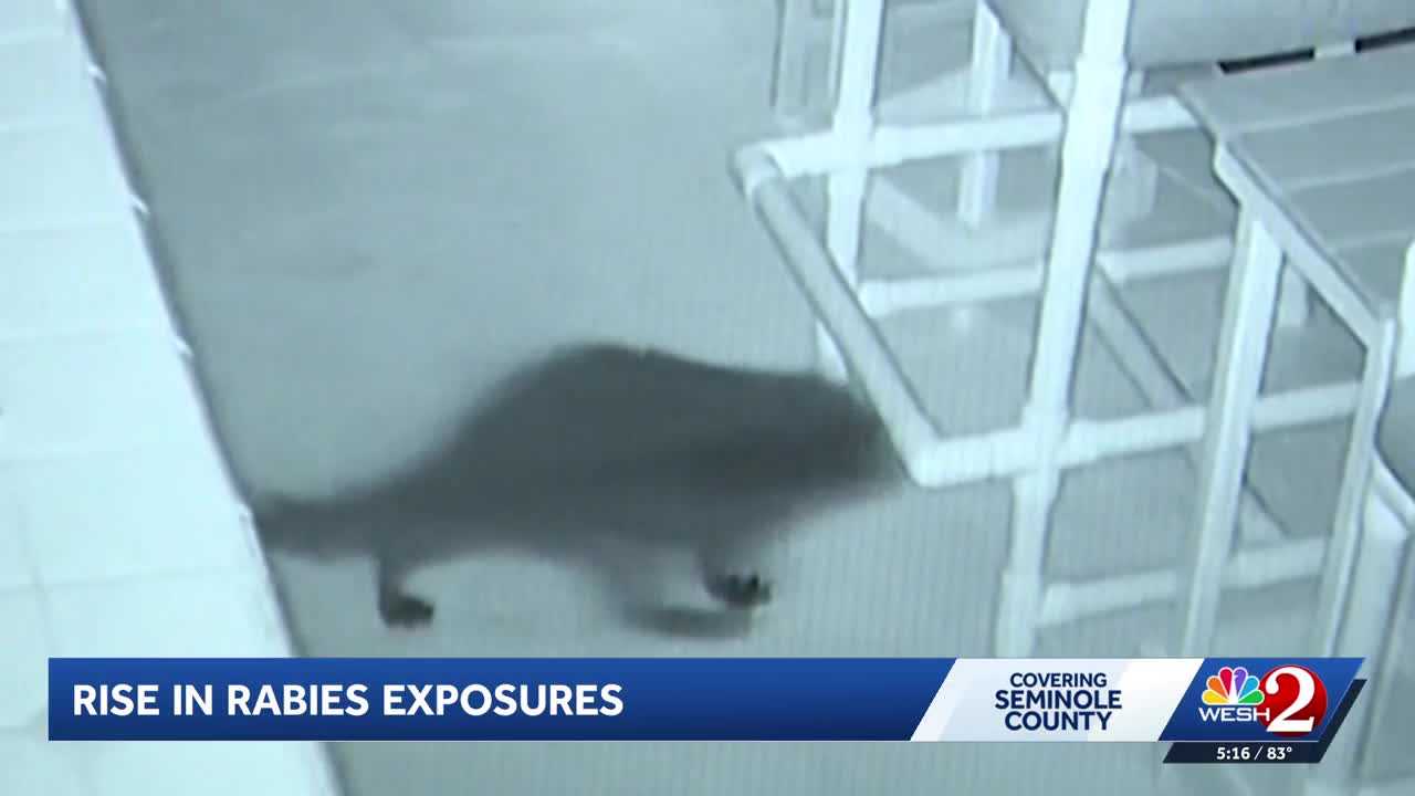 Seminole County ranks 3rd in Central Florida rabies exposures, health ...