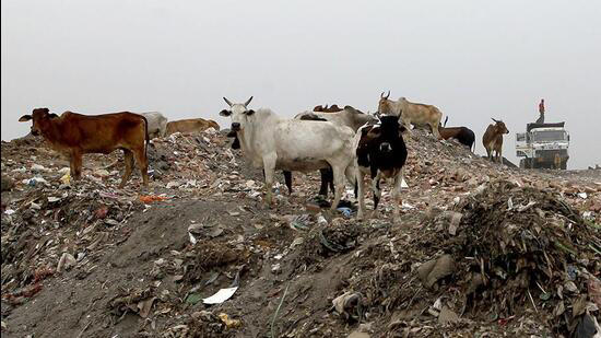 Centre clears expansion of Tehkhand waste-to-energy plant amid ...