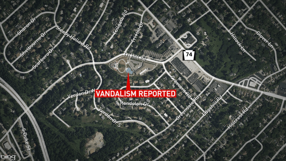 12-year-old to pay restitution after allegedly vandalizing park with ...