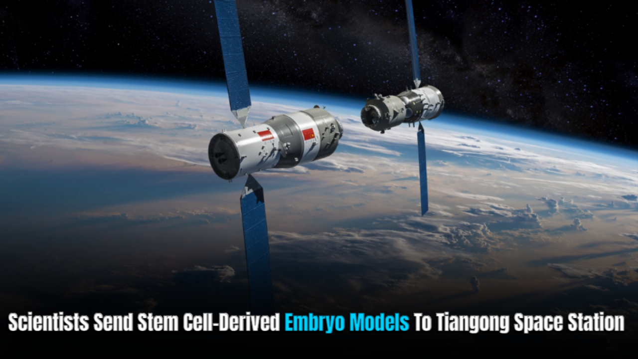 China is testing whether humans can reproduce in space