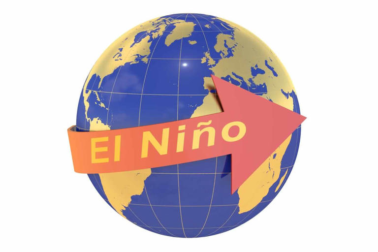 Confirmation of El Niño weather pattern lifts coffee prices