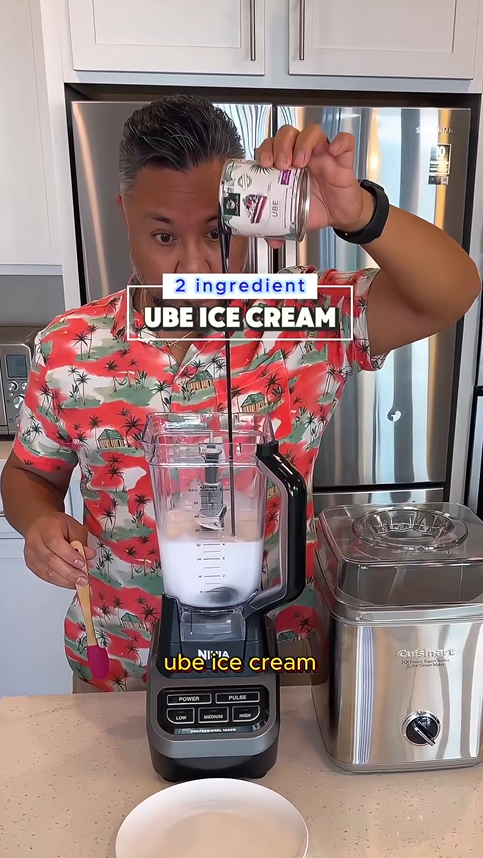 Two ingredient ube ice cream recipe