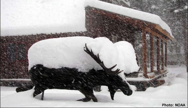 Weather blog: PDS tags to be issued in blizzard, ice storm warnings
