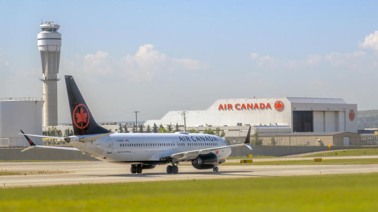 Airline pilot arrested for allegedly flying with fake license for 17 years