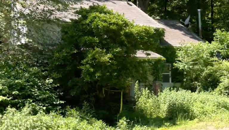 Teen busted for grisly murder of woman found in abandoned house in ...