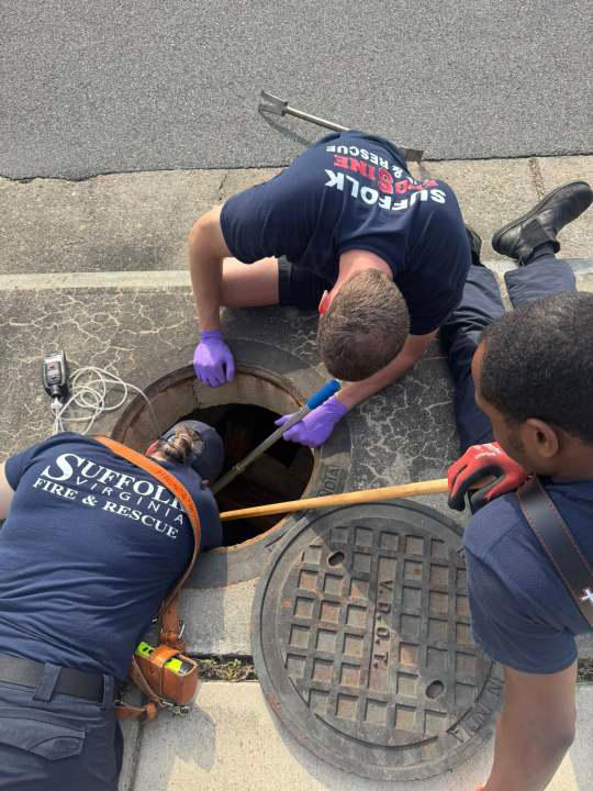 Ducklings rescued from Suffolk storm drain