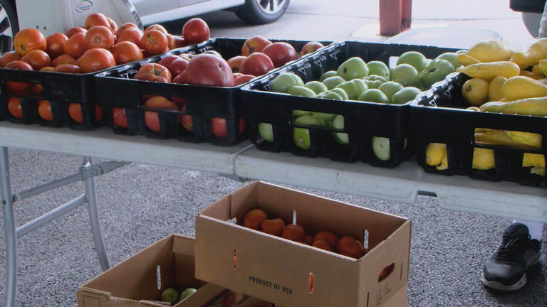 WIC participants can use $30 benefit at area farmers markets