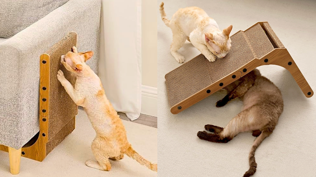 Cats go crazy for this scratcher — and it’s saving the ends of beds and ...