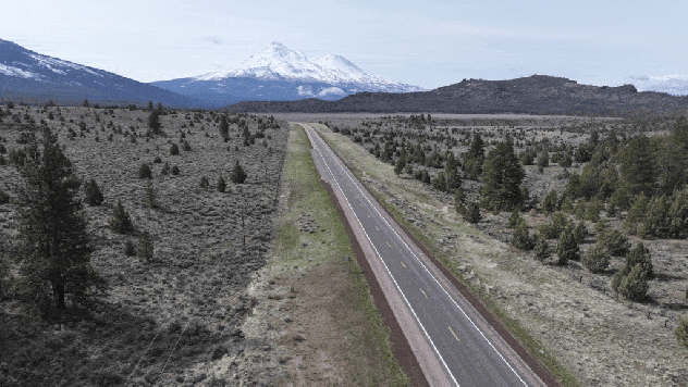 Deer are already using a wildlife bridge over a crash-prone highway in ...