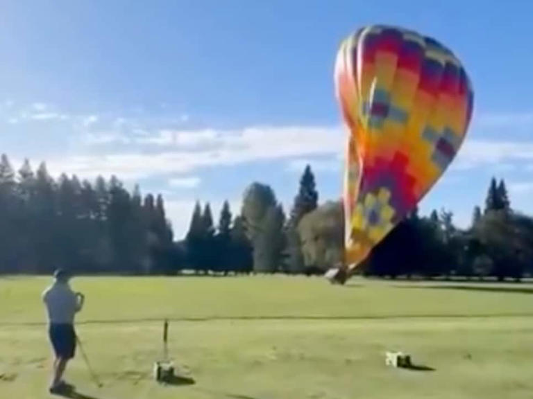 Couple's romantic hot-air-balloon ride slams into tree, crash lands on ...