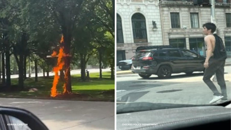 Chicago police release photo of suspect accused of burning cross in ...
