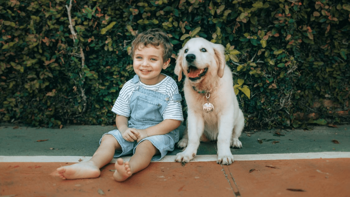 10 protective dog breeds that treat children like their own family