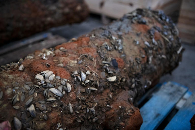 Workers dredging the Savannah River stumbled upon 19 cannons that had ...