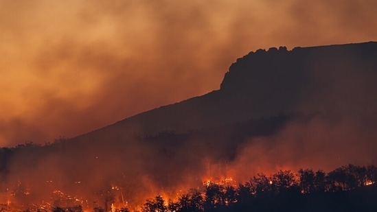 Salt Lake City fire update: Ensign Peak brush fire spreads over 30 ...