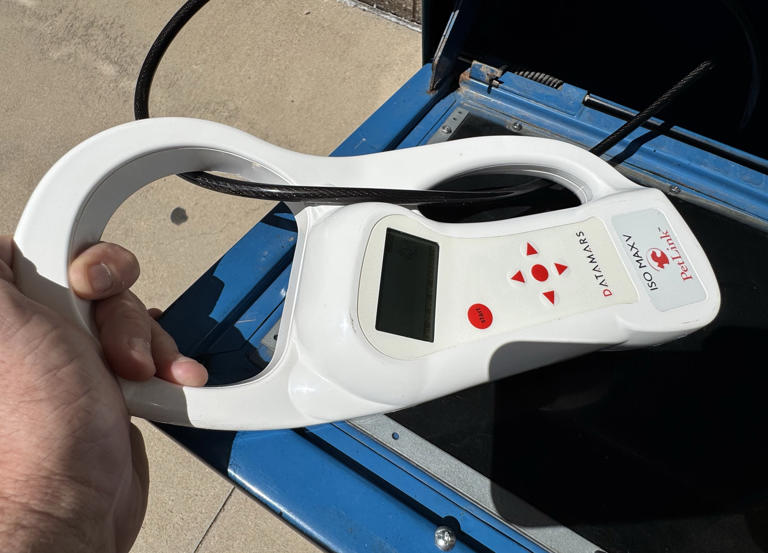 Old newspaper vending machines repurposed as pet microchip scanner ...