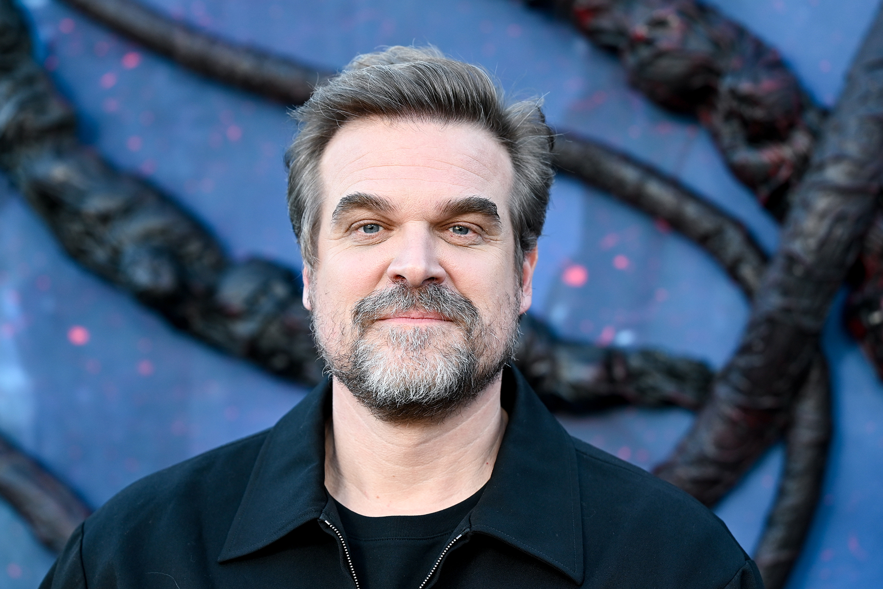 David Harbour breaks silence on Lily Allen album, Millie Bobby Brown
