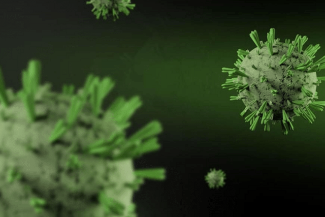 Ghaziabad polio virus: Polio virus found in Ghaziabad sewage sample ...
