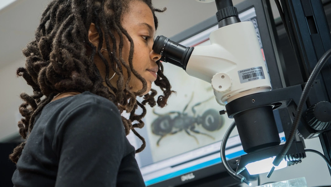 16 US states confront invasive ant threats