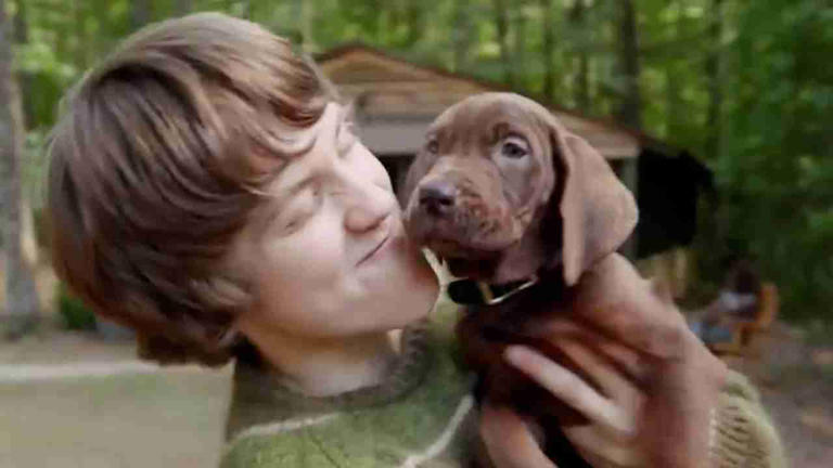 A Netflix bemutatta a „Scooby-Doo: Origins” kölyökkutyáját, a rajongók ...