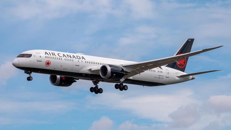 Airline pilot arrested for allegedly flying with fake license for 17 years
