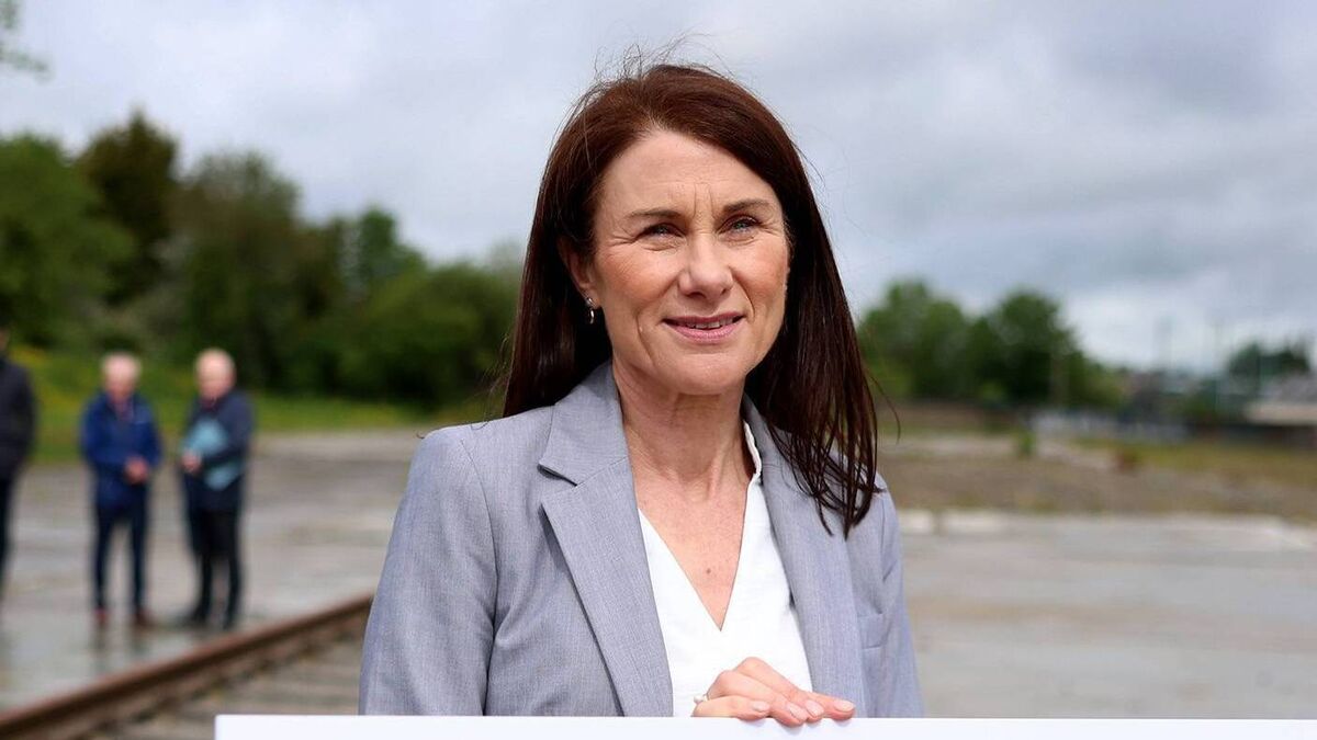 Irish Rail looking at other options after writing off failed €50m IT ...