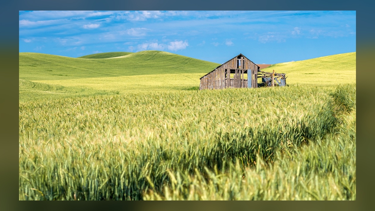 Drive 80 miles from Spokane and Washington stops looking like Washington