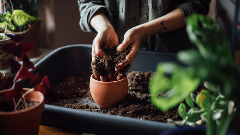DIY a fun planter using this unexpected vintage find