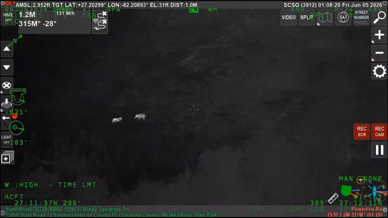 ‘Potential poacher’ arrested after using dogs to chase, catch hog in ...