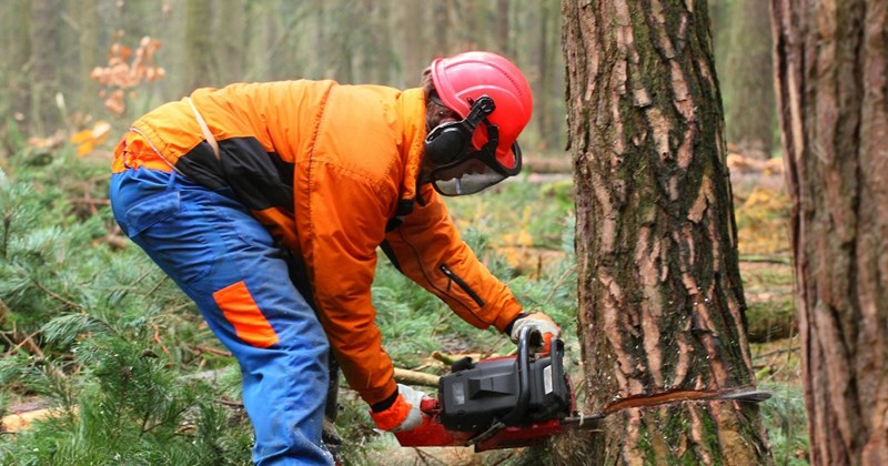Michigan homeowner sued by neighbor for $90,000 after contractor cut ...