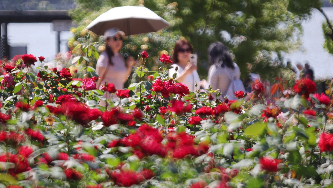 15 timeless vintage garden flowers