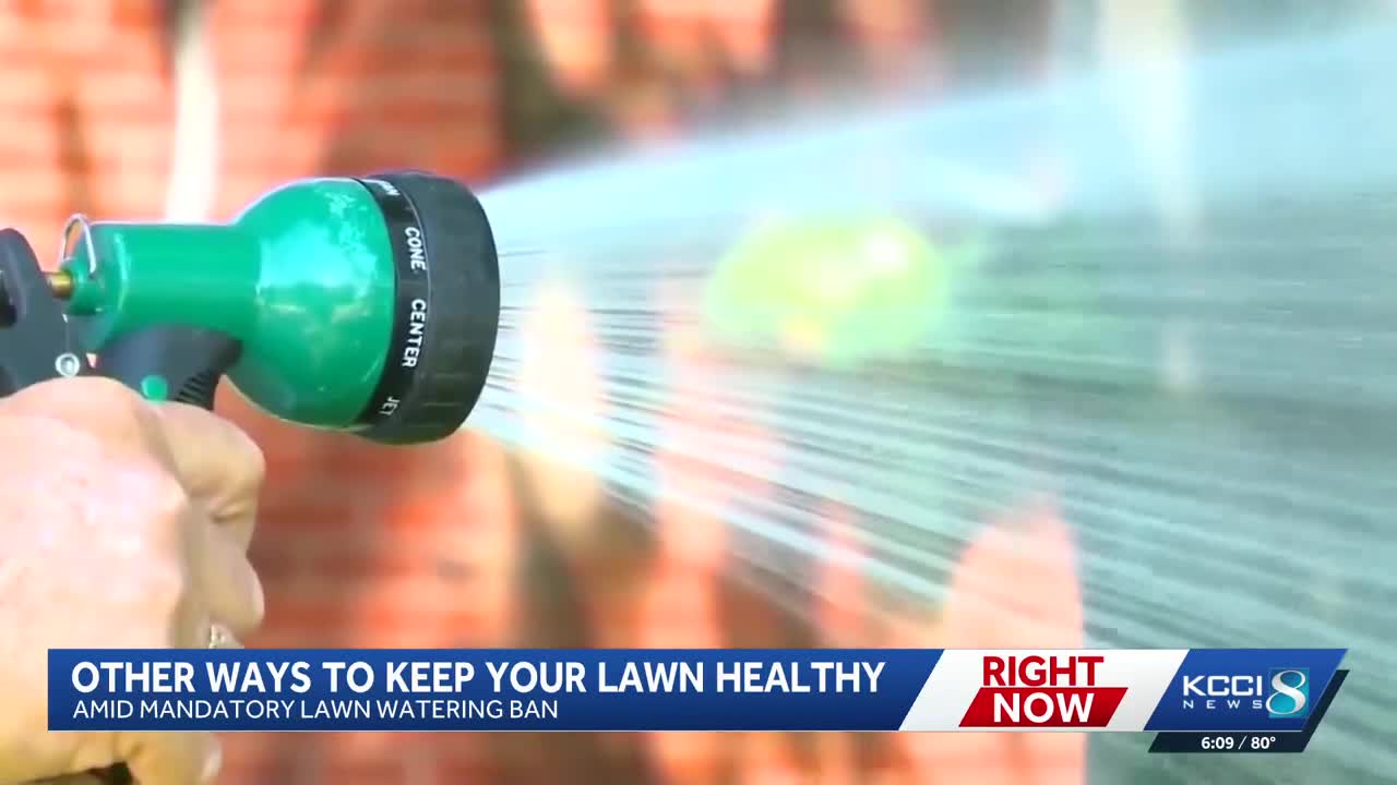 How to care for your lawn during the Central Iowa Water Works lawn ...