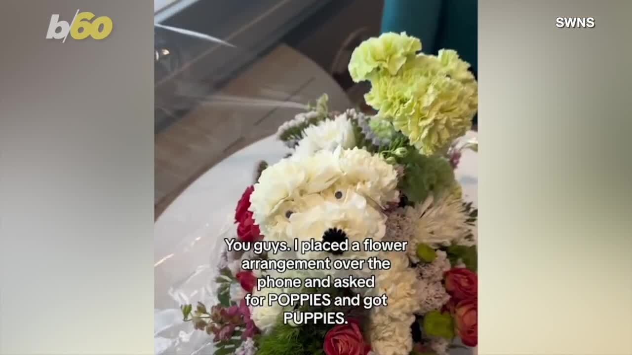 Puppies or poppies? Florist's slip sparks unique bouquet