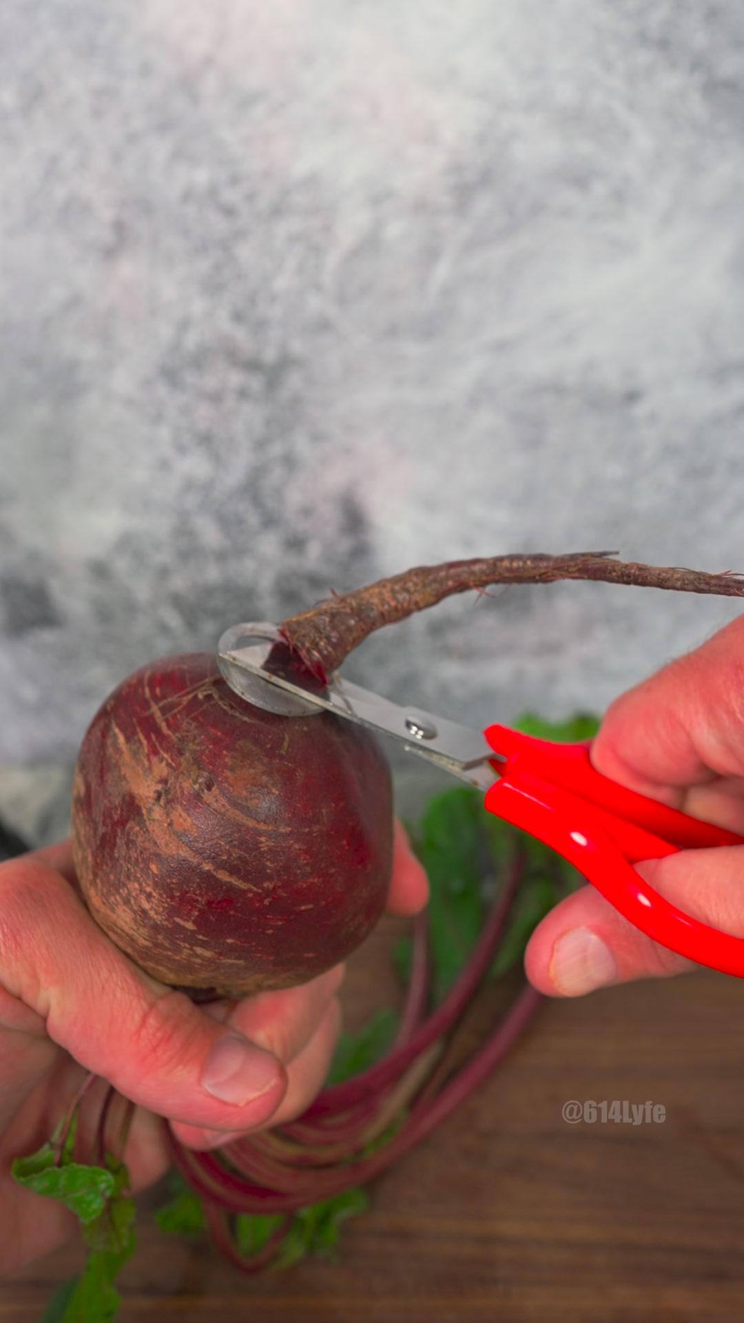 Beet vs tube topper