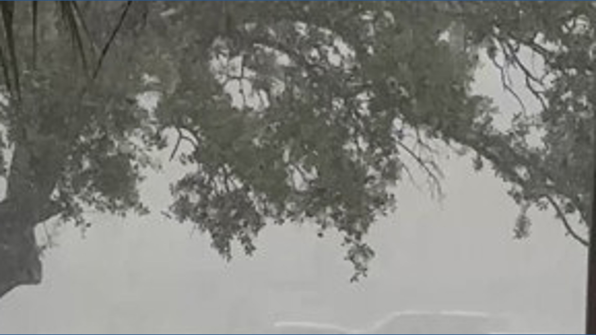 Rain in downtown St. Petersburg