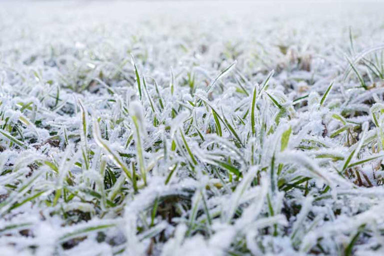 50 mph wind gusts through Wednesday night; hard freeze looms across ...
