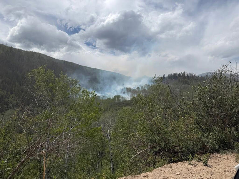 Wildfire latest: Beehive and Paradox Trail fires grow significantly ...