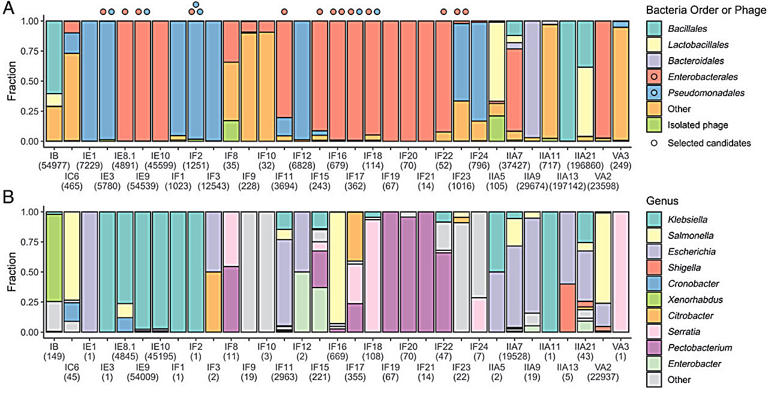 How anti-CRISPR proteins promote the spread of hospital-acquired infections
