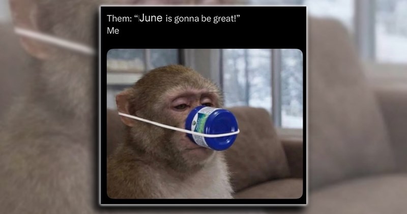'Sunny and runny': A tissue box of memes better than Mucinex when you ...