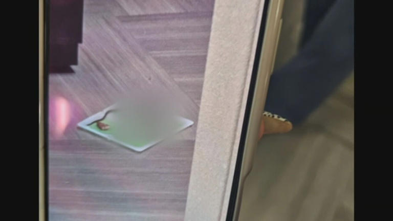 Metro Atlanta IRS employees approved for remote work after rat infestation