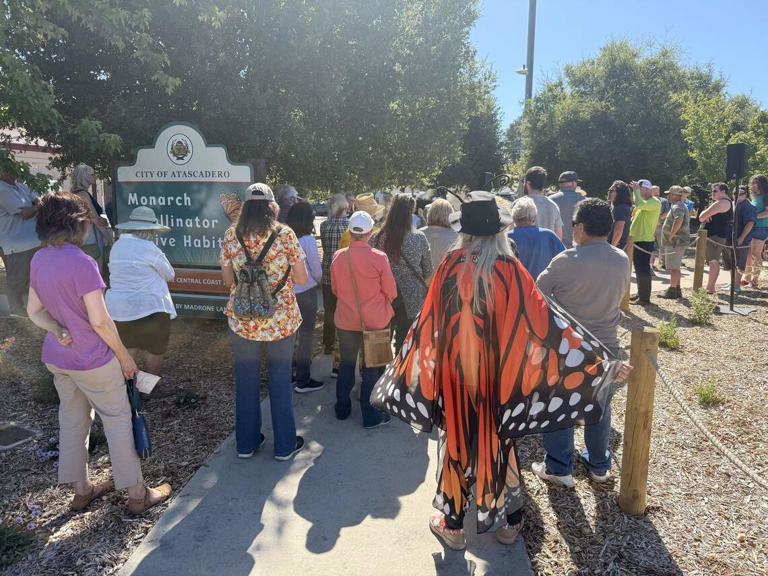 A new monarch butterfly habitat opened in this SLO County city. Take a look
