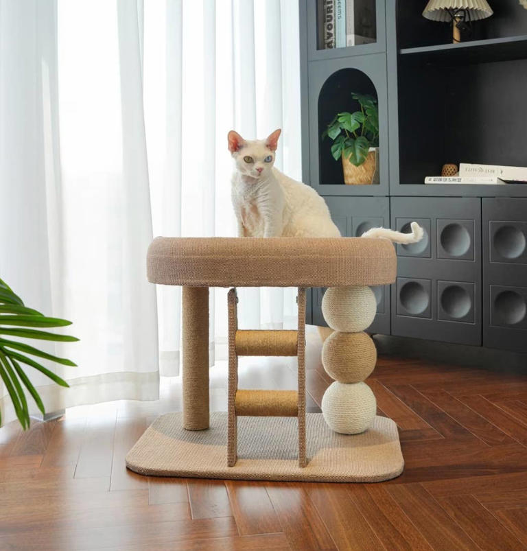 Chewy's ultra-modern cat climbing tower doubles as a chic decor piece