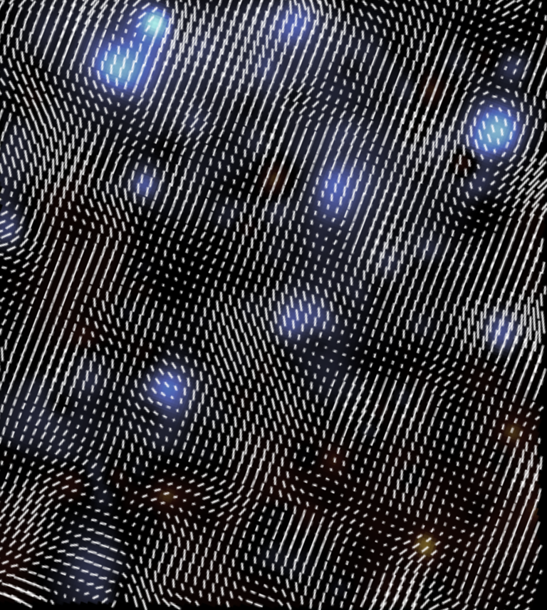 Untangling the cosmic web