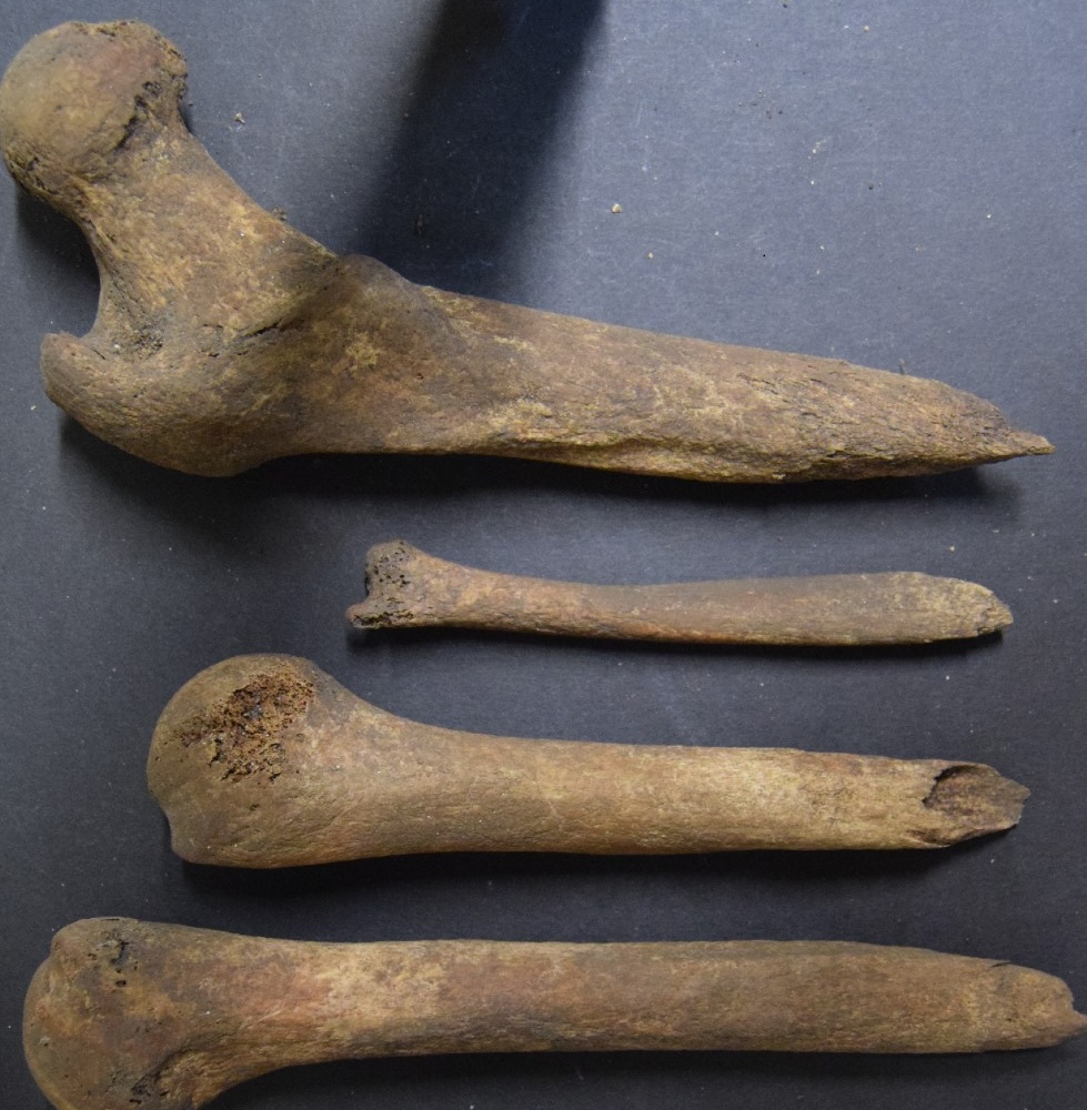 This woman's brains were scooped out and her bones were broken and ...